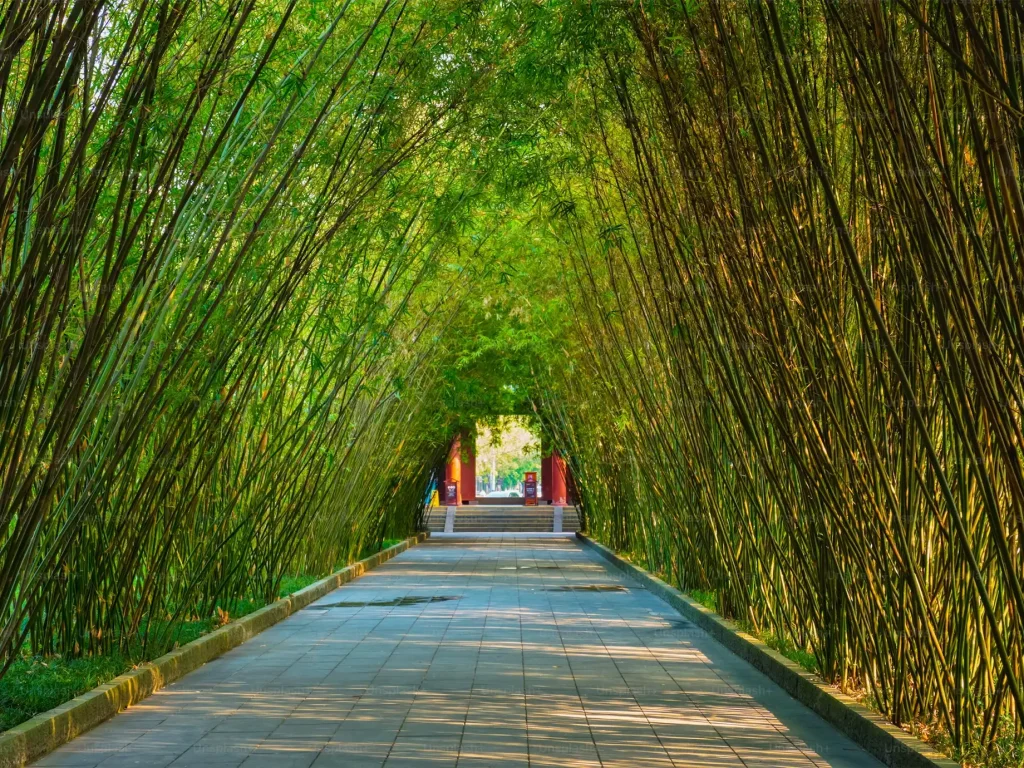 10 Days Jiuzhaigou & Zhangjiajie National Parks In-depth Tour ...